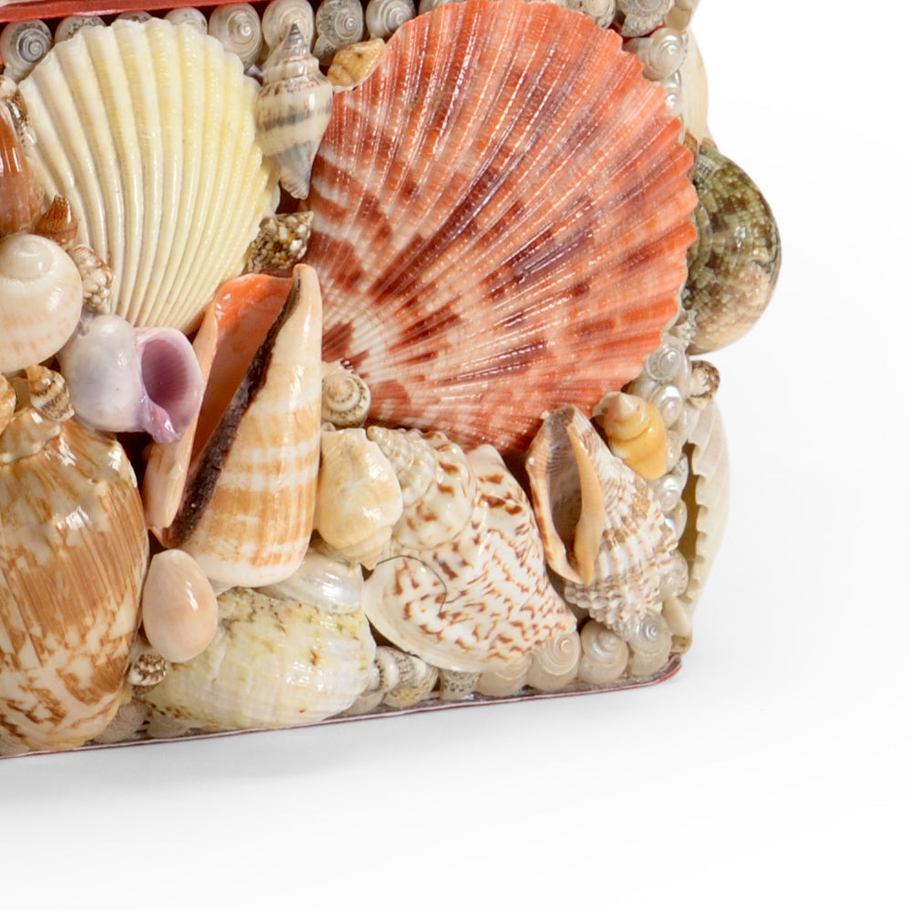 Sanibel Mixed Shell Box - Coastal Inspired Decor - Dear Keaton