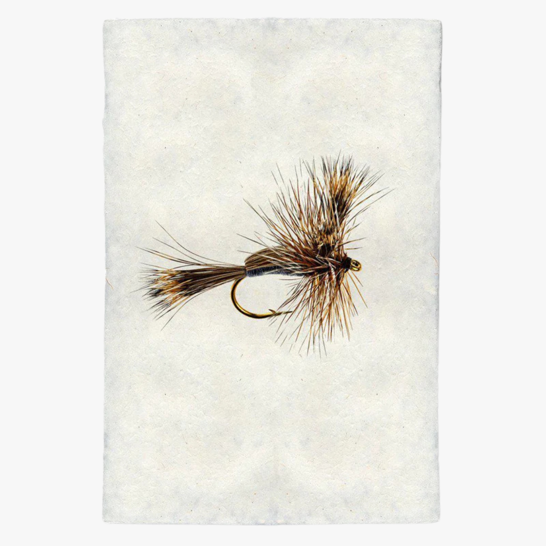 Humpy Fishing Fly Print - Wall Art Prints - Dear Keaton